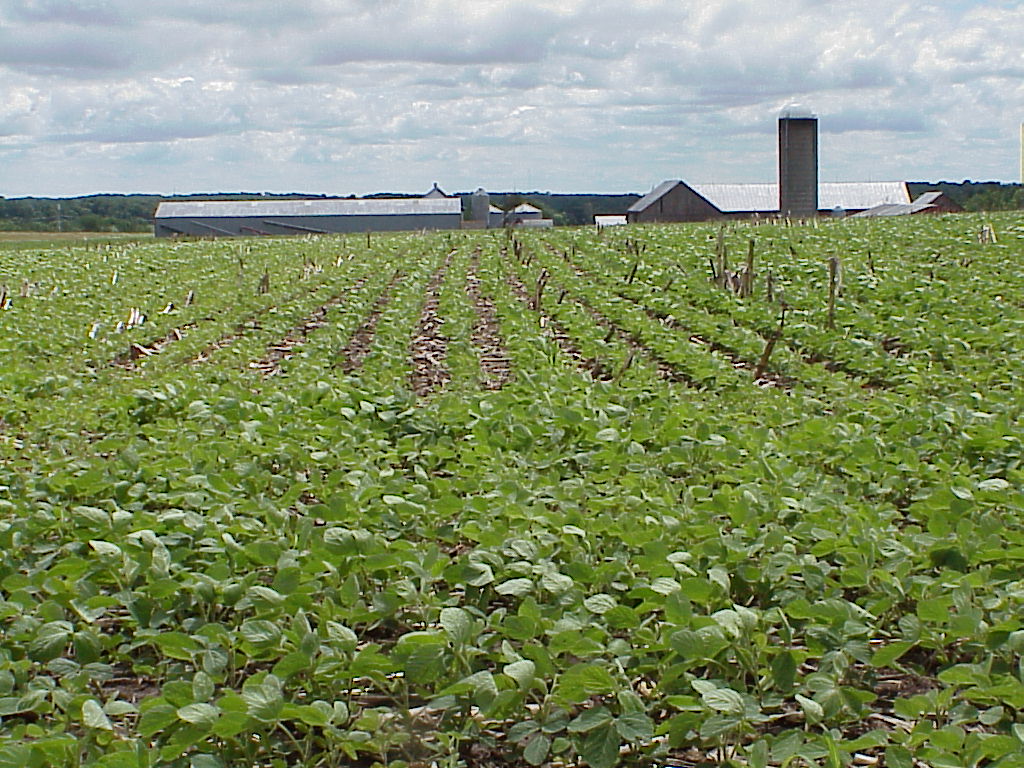 Conservation Tillage System, Zone-Till, French Creek Farms, Manitowoc ...