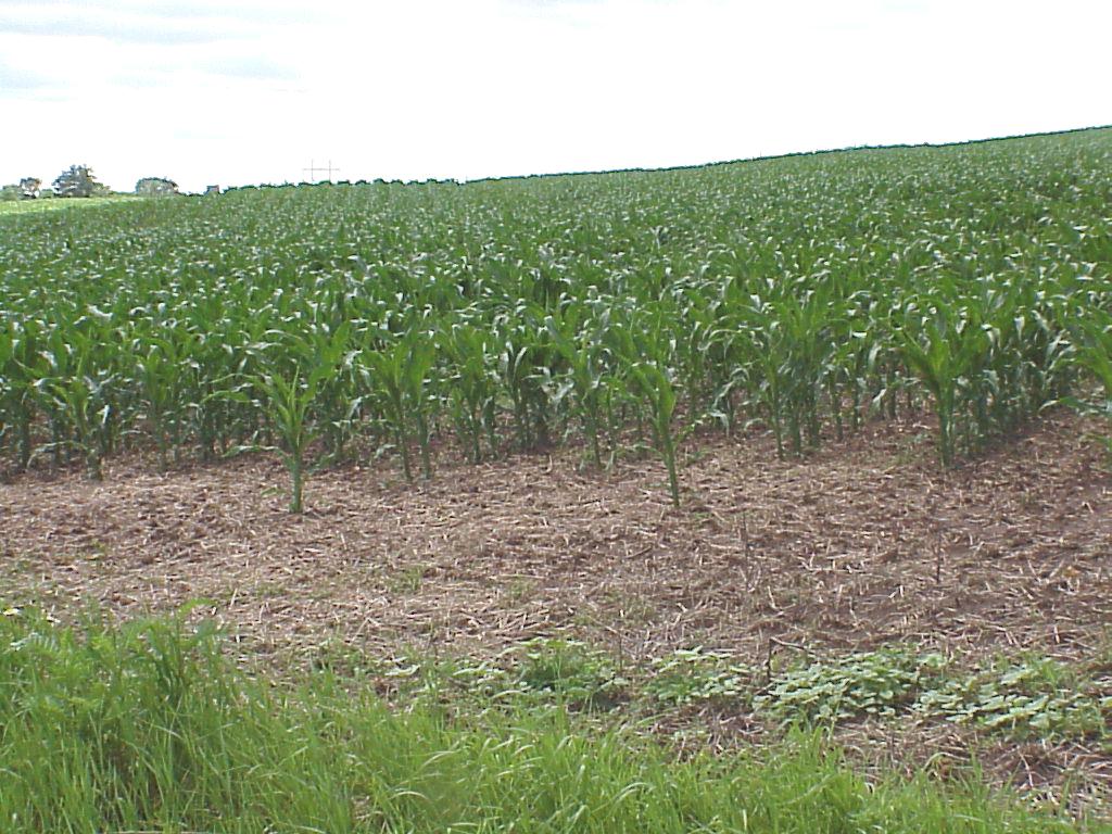 Conservation Tillage System, Zone-Till, French Creek Farms, Manitowoc ...