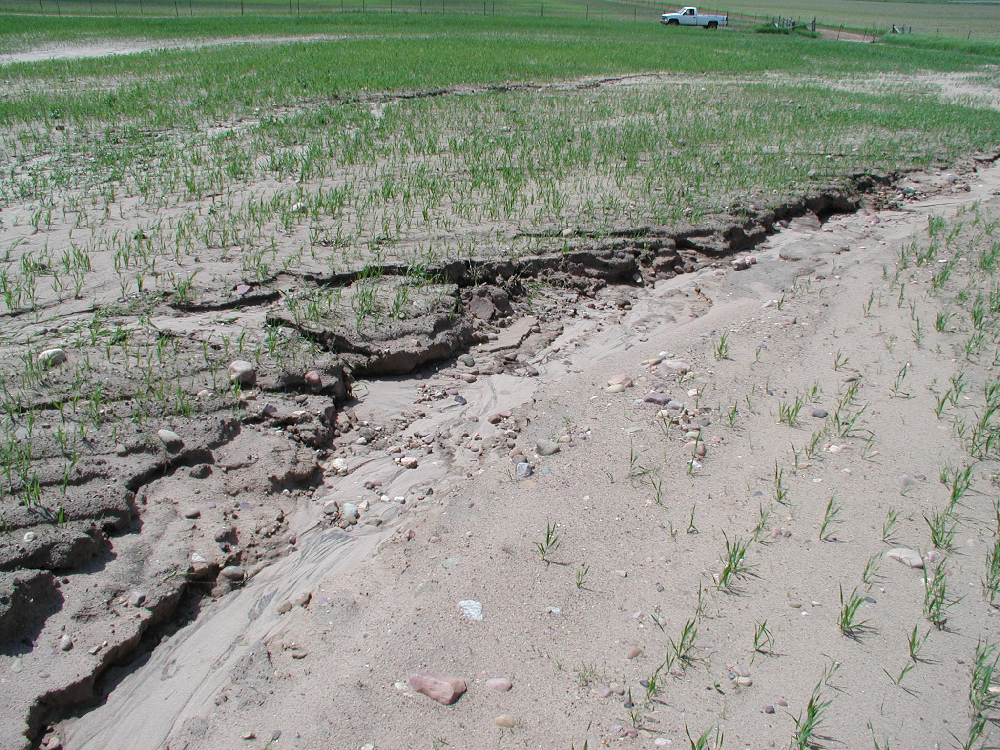 Erosion – PlantDOC